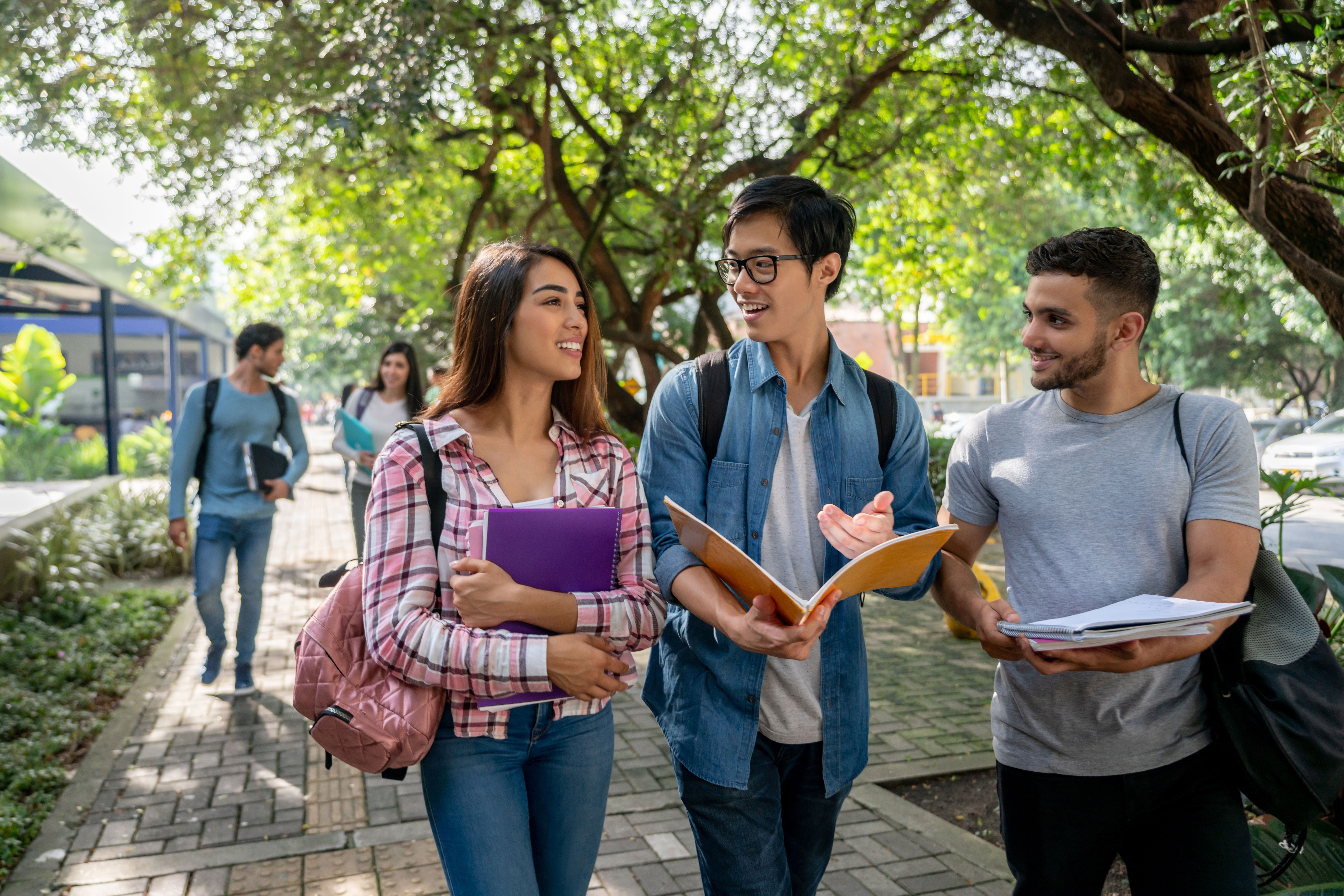 Bursary Program | CU Financial Management