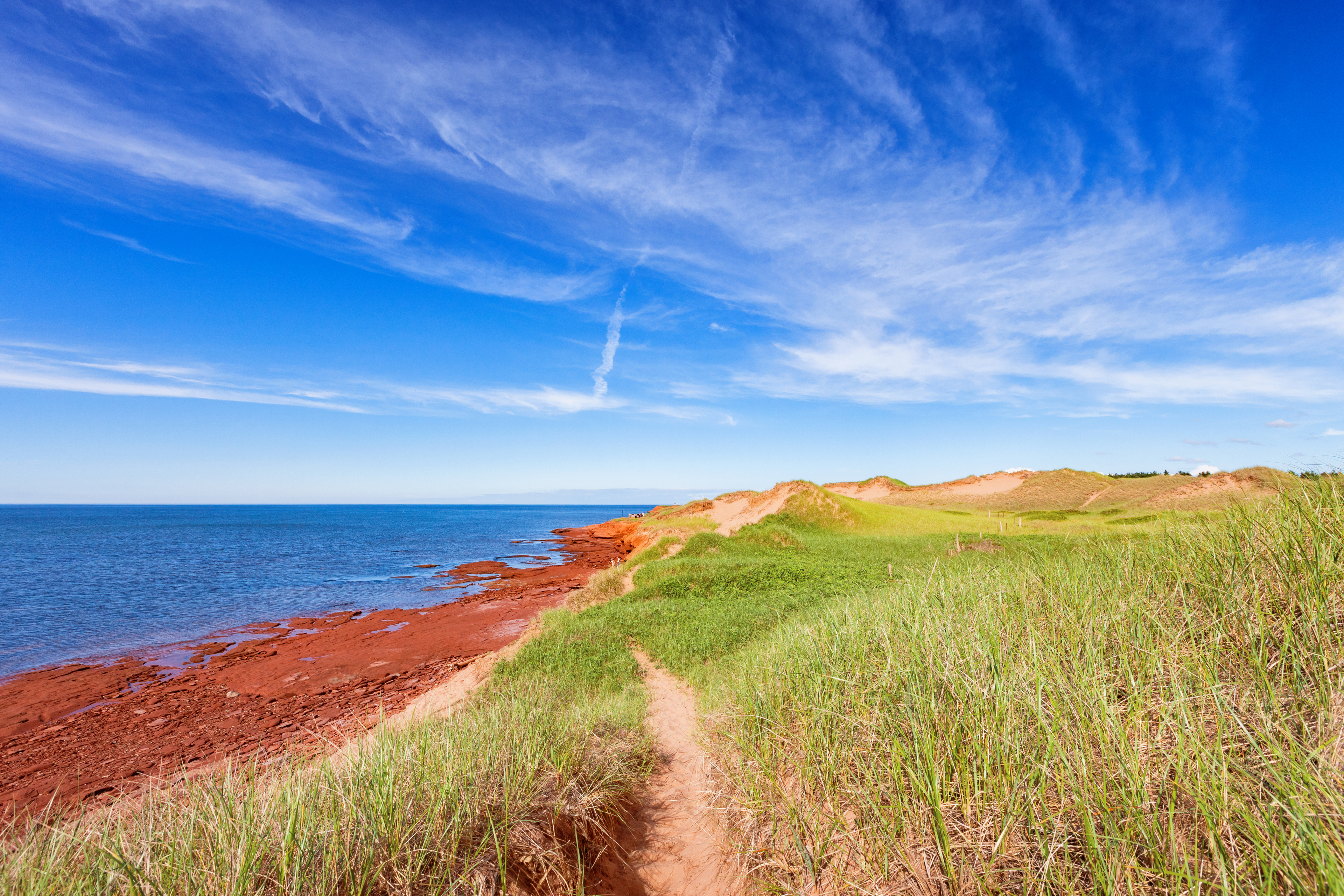 CU Financial Management | Get Started